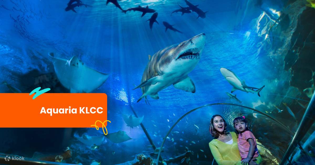 [Klook Exclusive] Kuala Lumpur Multi Attractions Pass - Bundle & Save ...